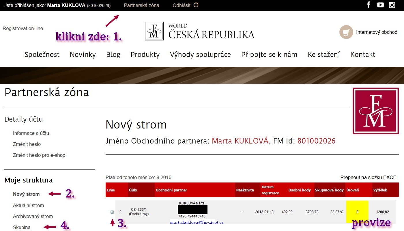 Jak fungují provize ze systému | Blog.fm-zivot.cz